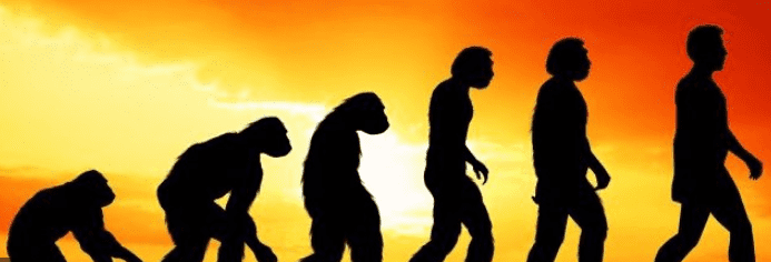 Evolutionary Operations Methodology (EVOP)