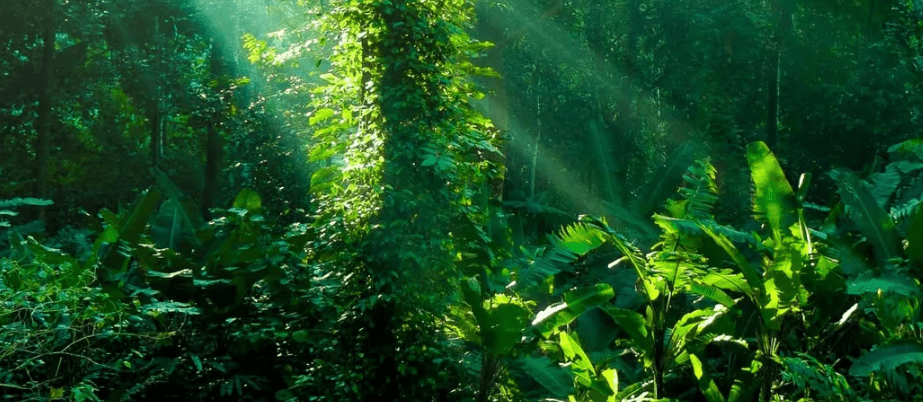 Friedman Non Parametric Hypothesis Test